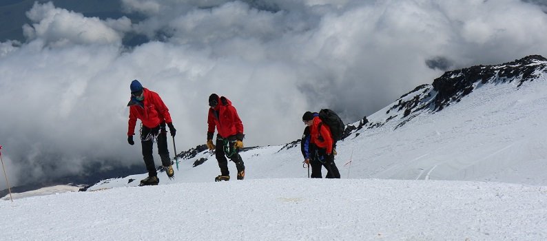 Survival Guide - Human Body vs Overwhelming Extremes - MANUELR